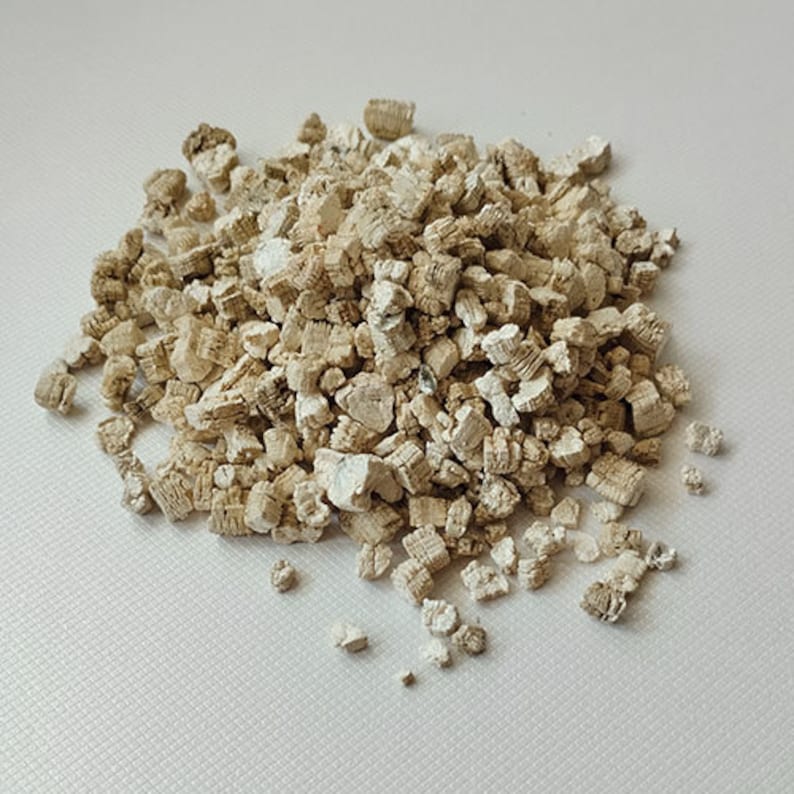 Vermiculite Vs Perlite: Which is Best for Your Potted Plants? How and ...