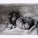 Still Life With Pumpkin. Charcoal and Graphite Pencil on Paper ...