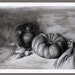 Still Life With Pumpkin. Charcoal and Graphite Pencil on Paper ...