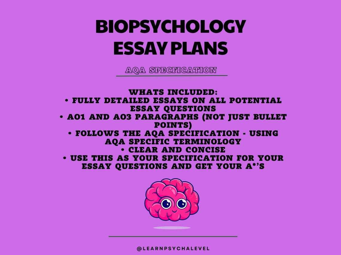 AQA A Level Psychology Detailed Essay Plans - Biopsychology (A*) - Etsy