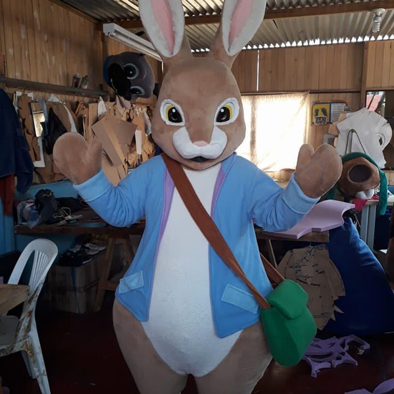 Adult Peter Rabbit Costume - Etsy UK