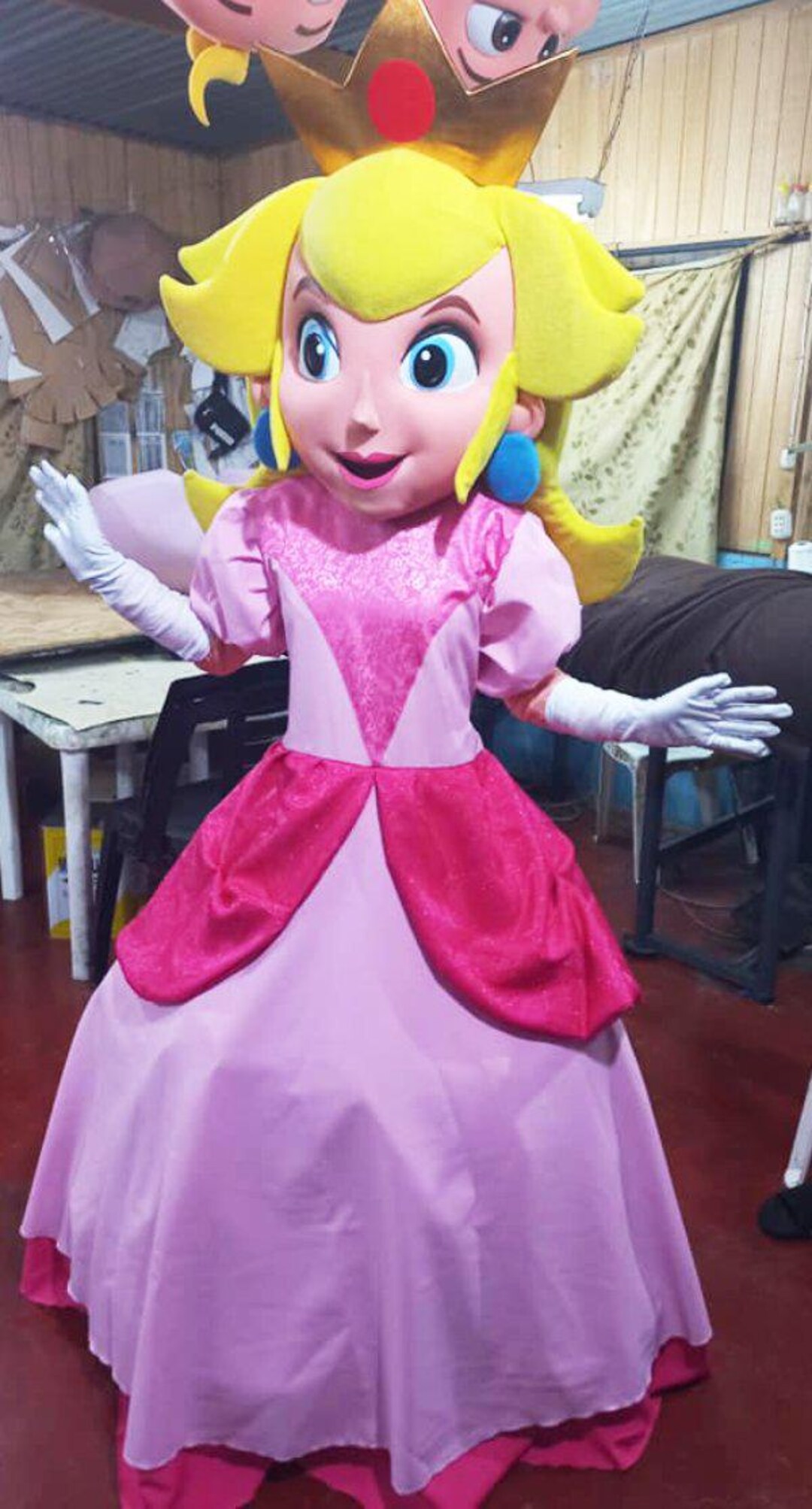Princess Mascot Costume: Adult Party Theme - Etsy