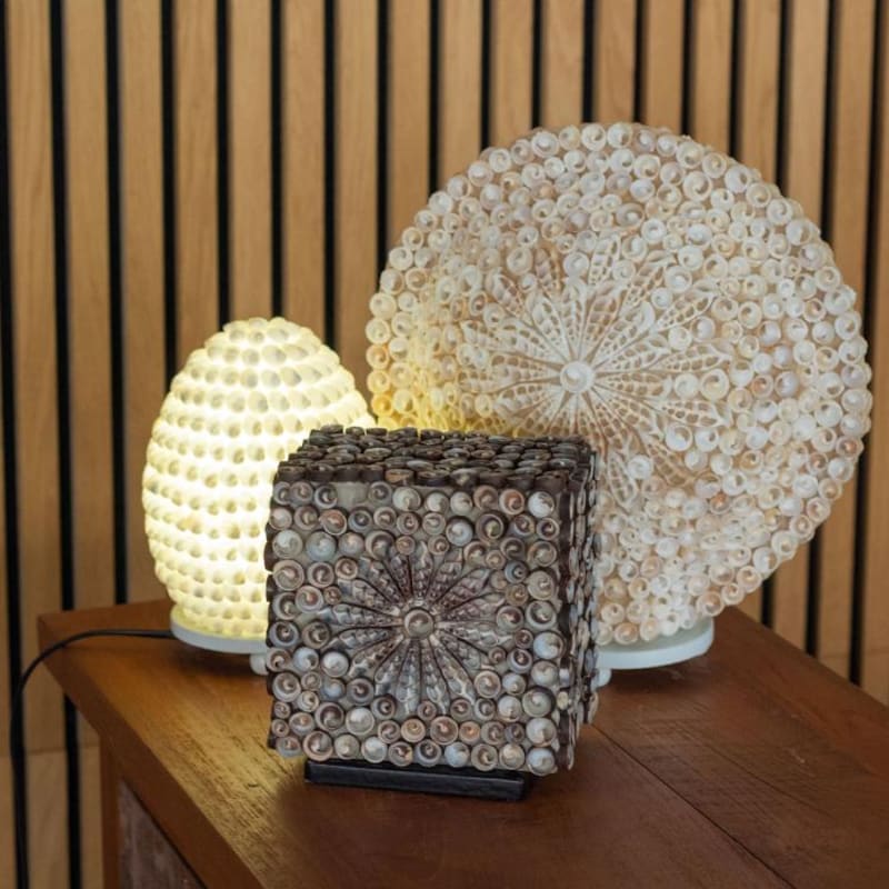 Seashell Lamps - Etsy