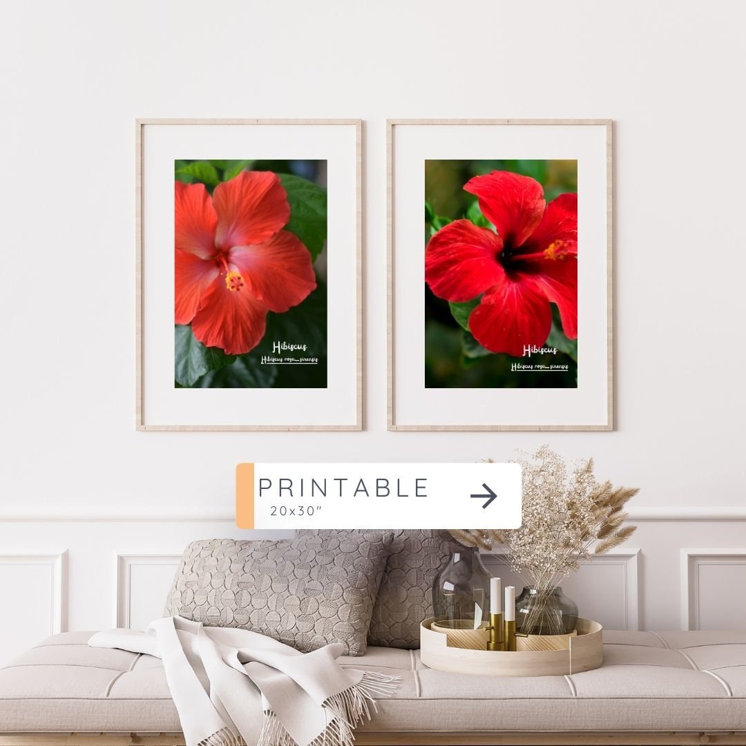 Set of Two Printable Flower Digital Posters, Colour Red, Size 50x70 Cm ...