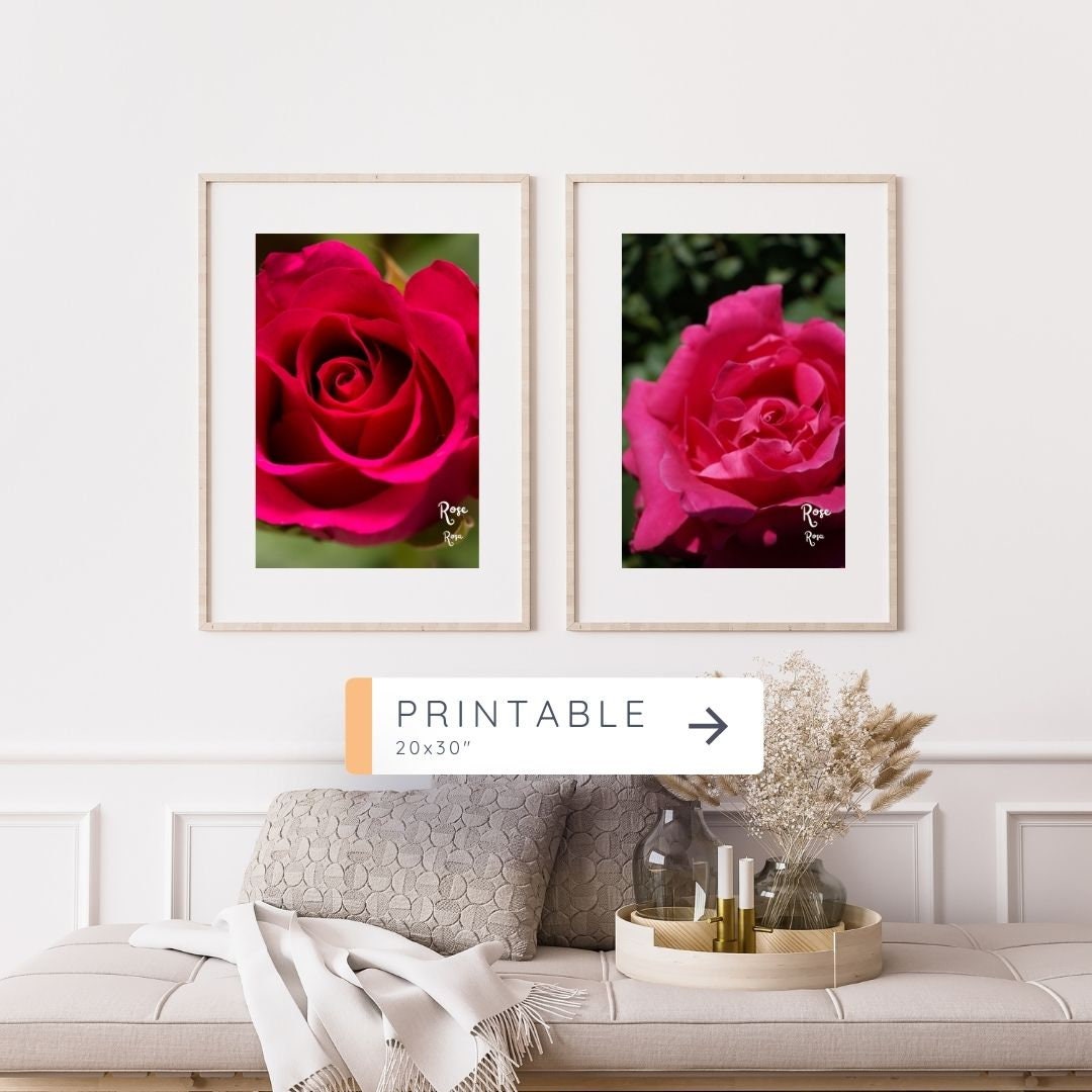 Set of Two Printable Flower Posters Size 20x30 Inches 50x70 - Etsy
