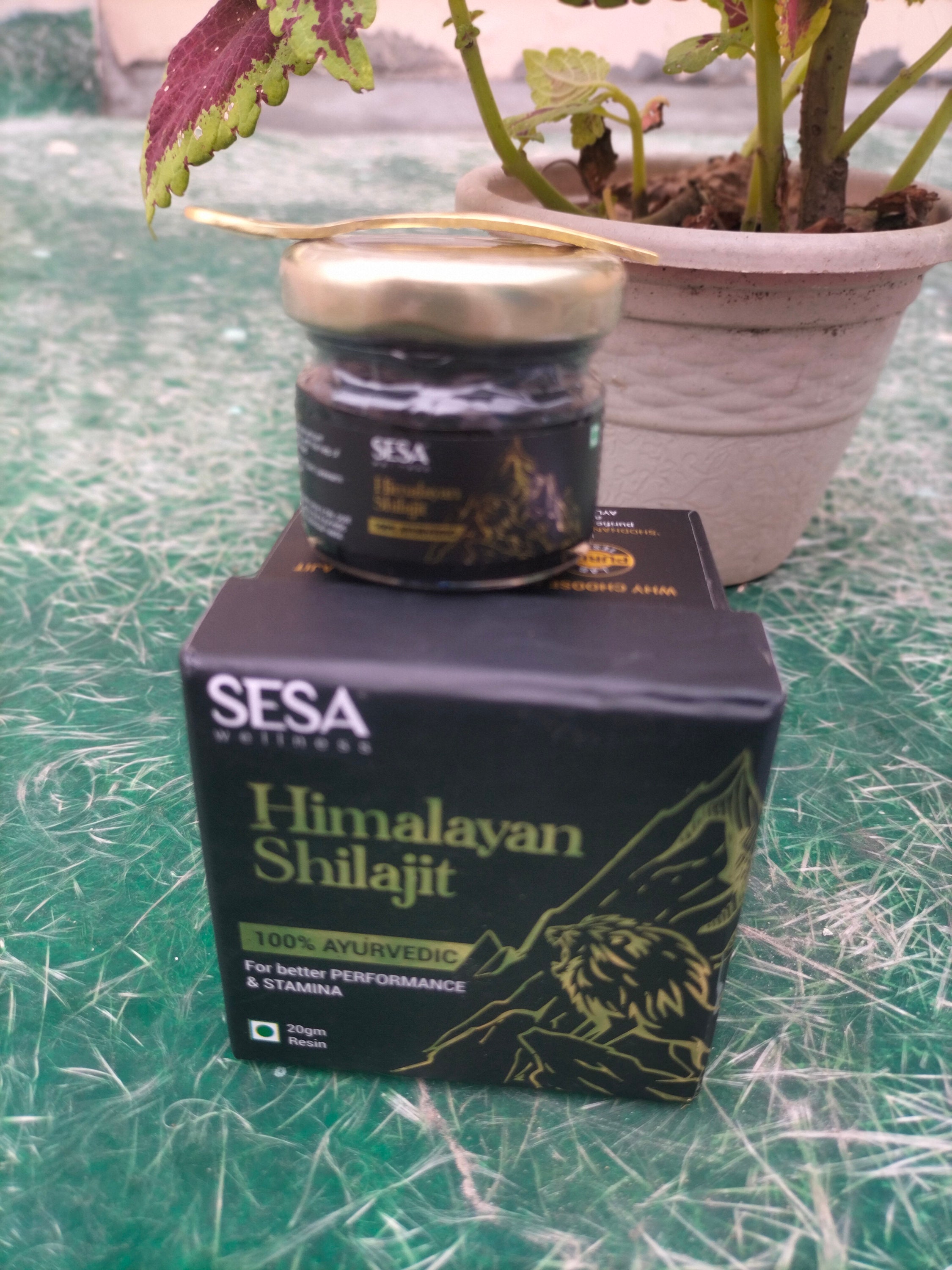Sesa Himalayan Shilajit Resin: 100% Ayurvedic Shilajeet, Lab Certified, 20g - Etsy