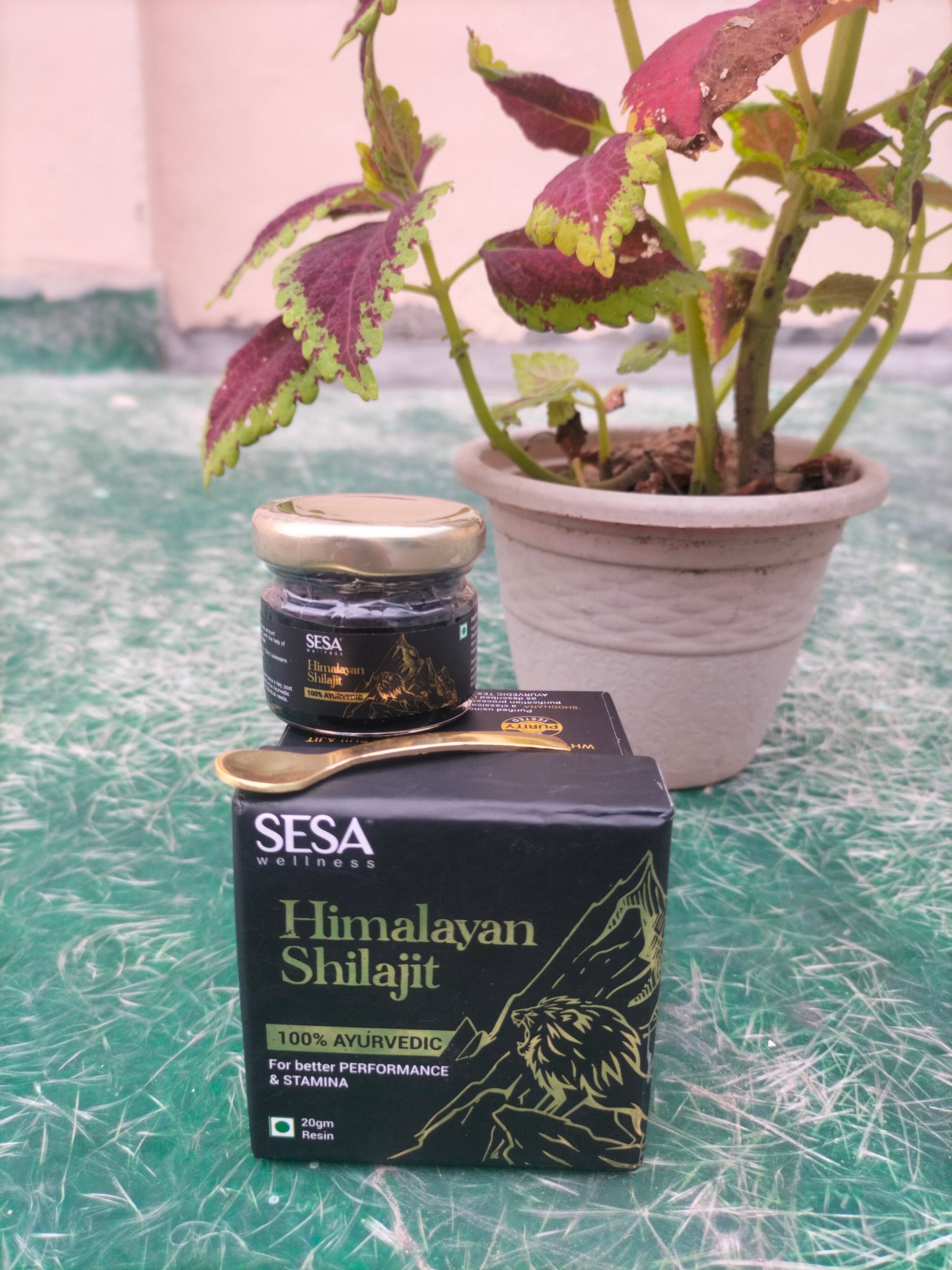 Sesa Himalayan Shilajit Resin: 100% Ayurvedic Shilajeet, Lab Certified, 20g - Etsy