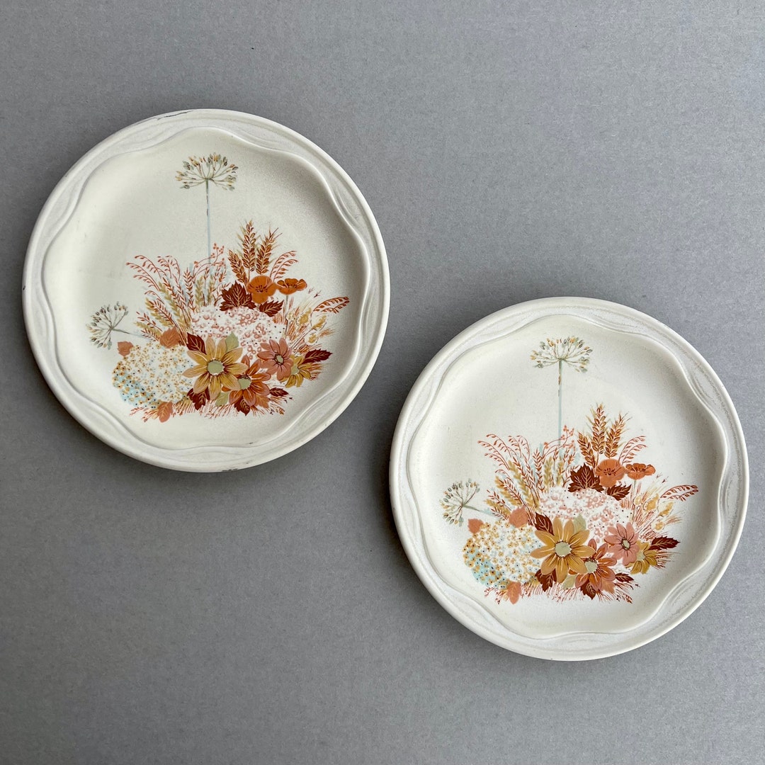 Two Amazing Collectible Poole Pottery Plates: Oven to Tableware ...
