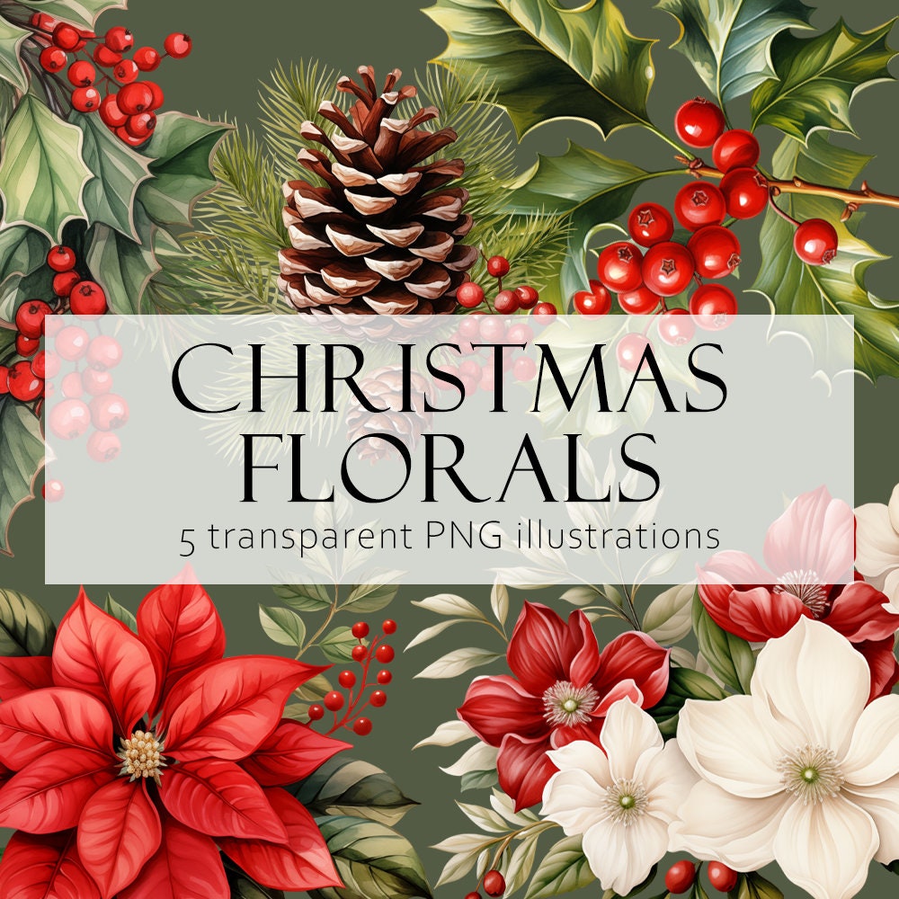 Christmas Florals, High Quality, Transparent, PNG, Decor Cliparts ...