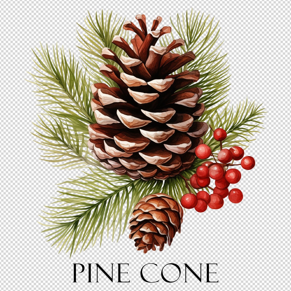 Christmas Florals, High Quality, Transparent, PNG, Decor Cliparts ...