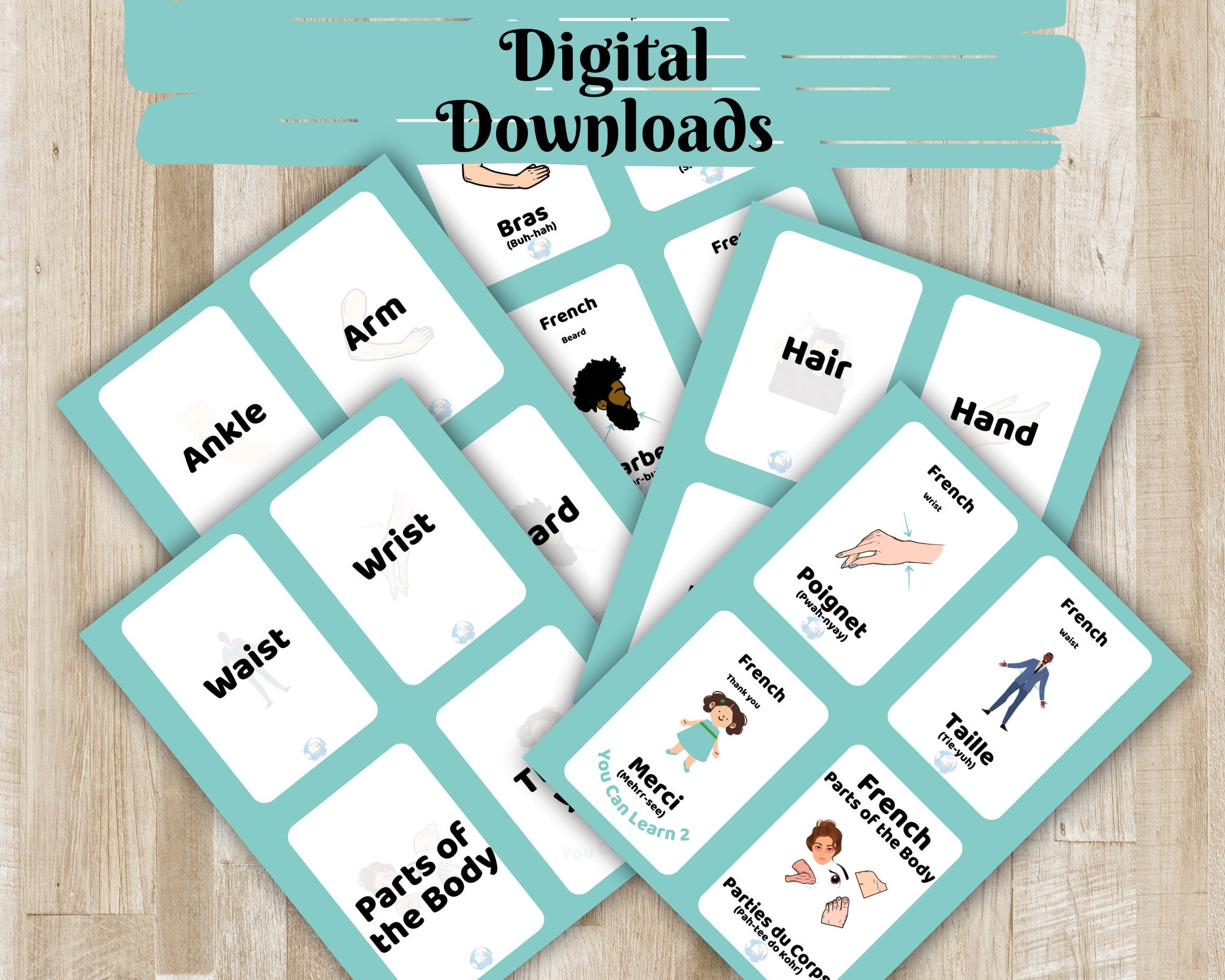French parts of the Body Language Learning Flashcards - Etsy