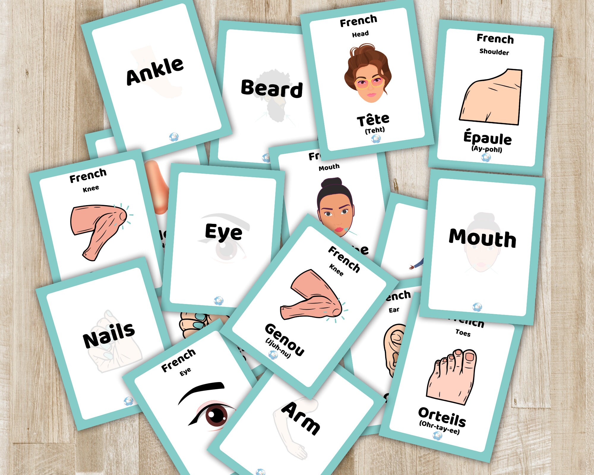 French parts of the Body Language Learning Flashcards - Etsy