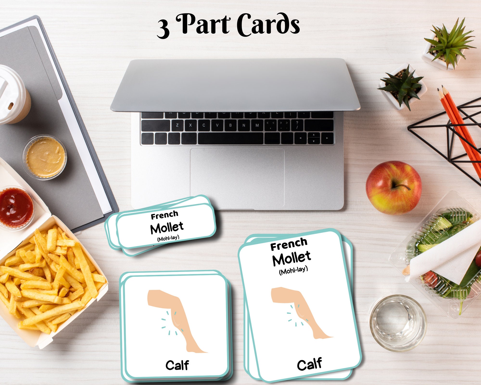 French (parts of the Body) Language Learning Flashcards, Educational ...