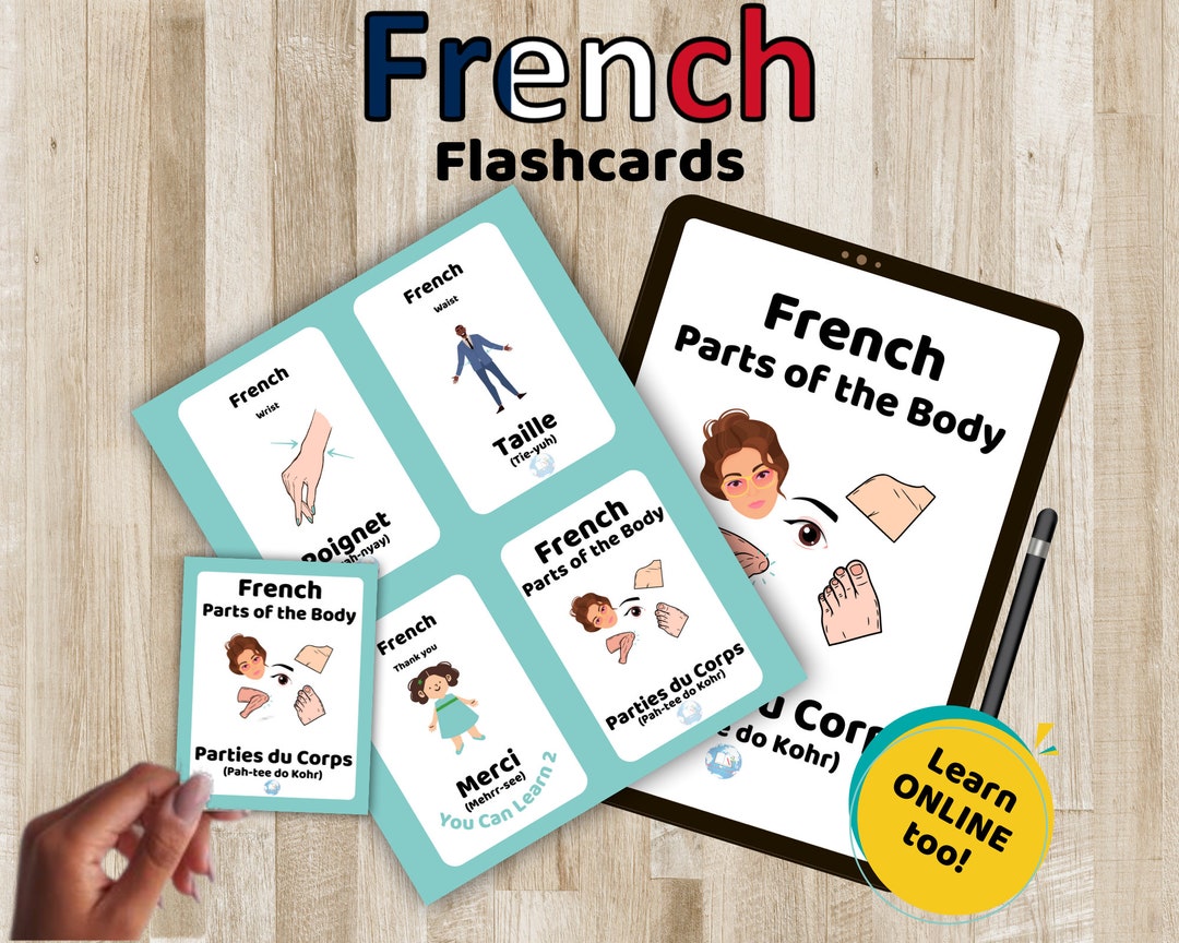 French parts of the Body Language Learning Flashcards - Etsy
