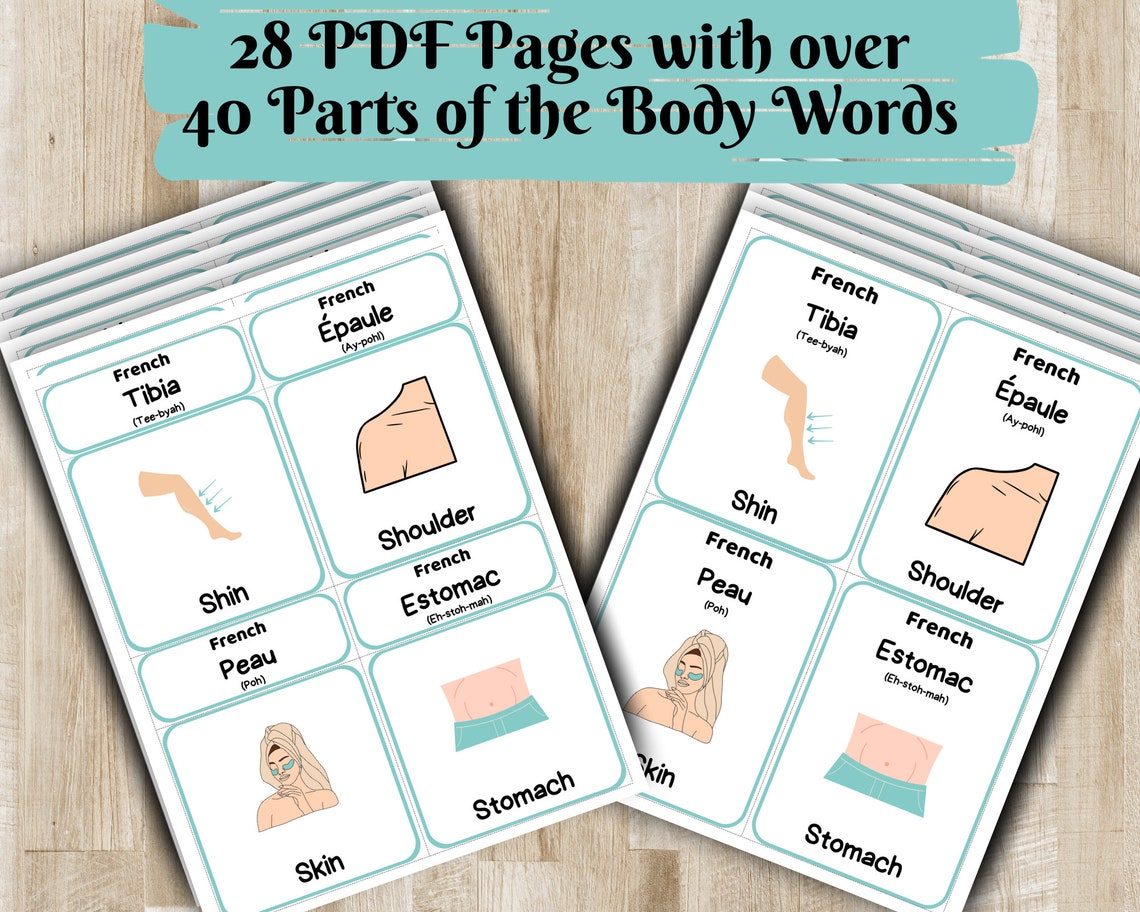 French (parts of the Body) Language Learning Flashcards, Educational ...
