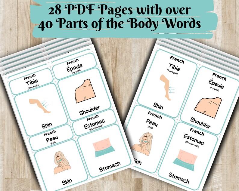 French (parts of the Body) Language Learning Flashcards, Educational ...