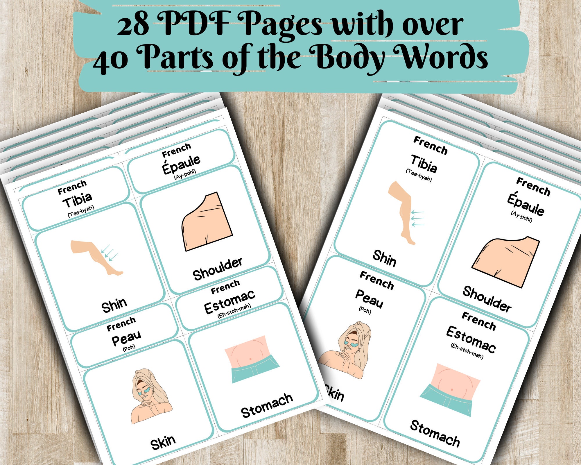 French (parts of the Body) Language Learning Flashcards, Educational ...