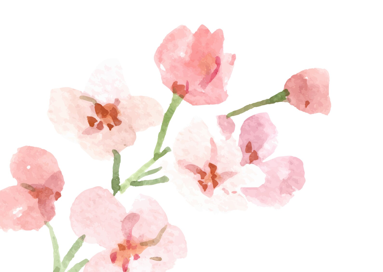 Pink Floral Thank You Greeting Card, Flower Greeting Card, Greeting ...