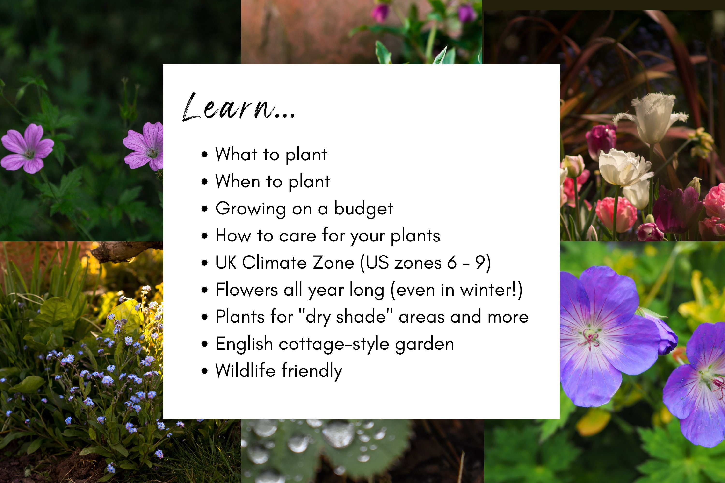 Garden Border Design Plan for an English Cottage Garden - Etsy