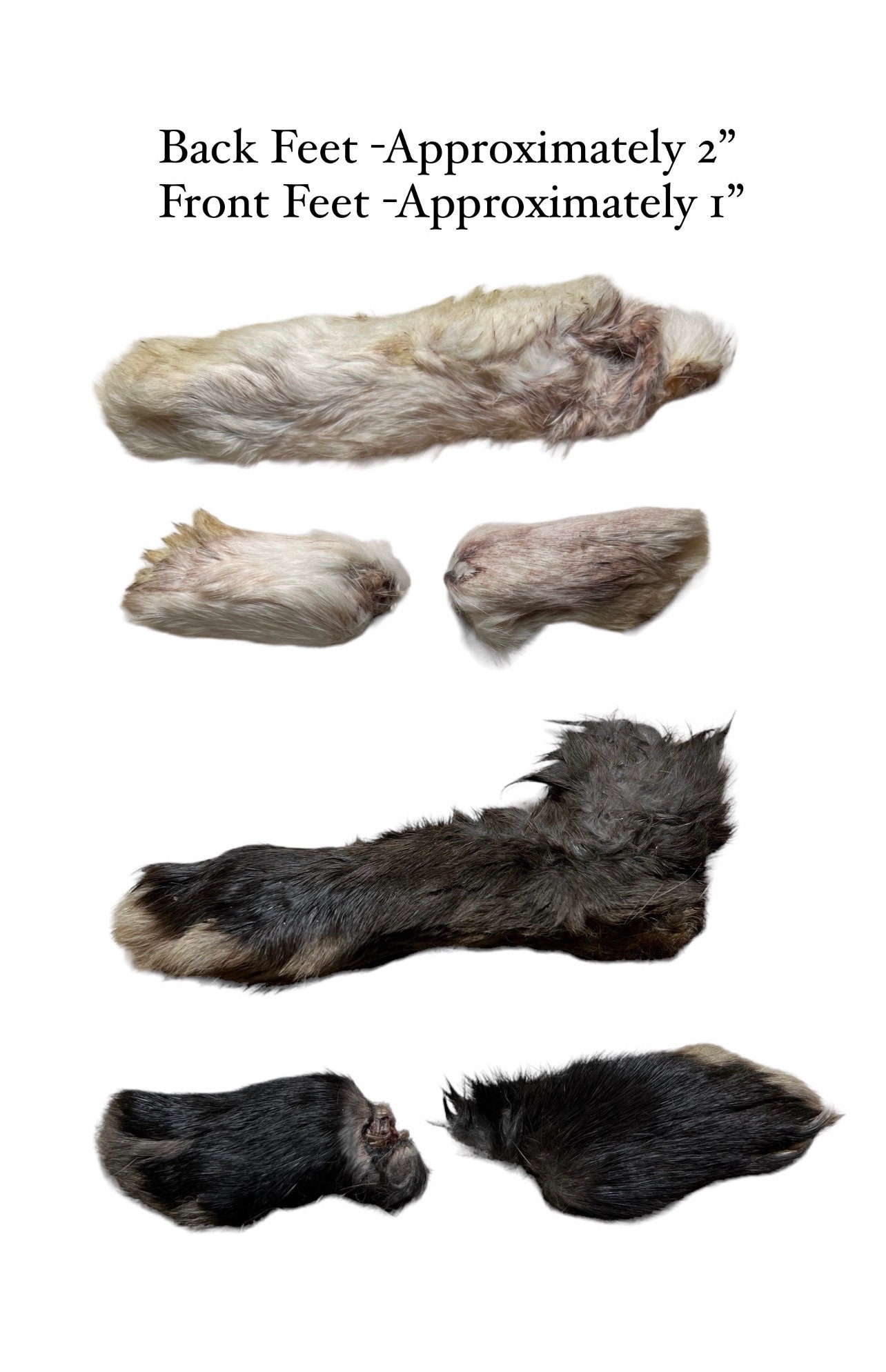 Dehydrated Rabbit Feet Pack of 6 Back Feet Furry Dog - Etsy