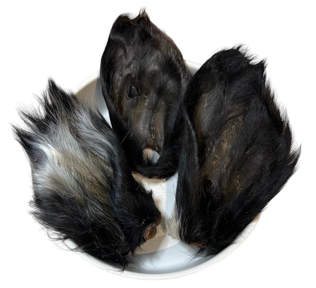 Dehydrated Furry Cow Ear for Dogs Single Ingredient 100% - Etsy