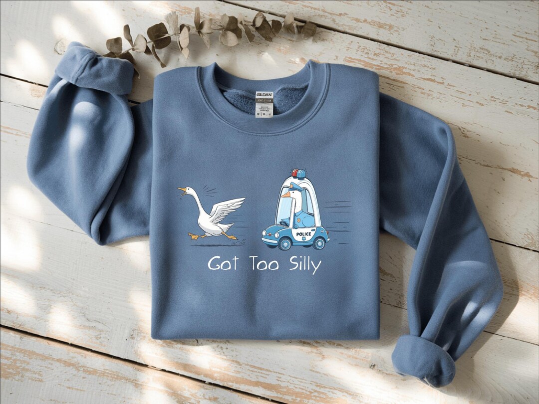 Got Too Silly Hoodie, Aesthetic Sweater, Holiday Sweatshirt, Funny ...