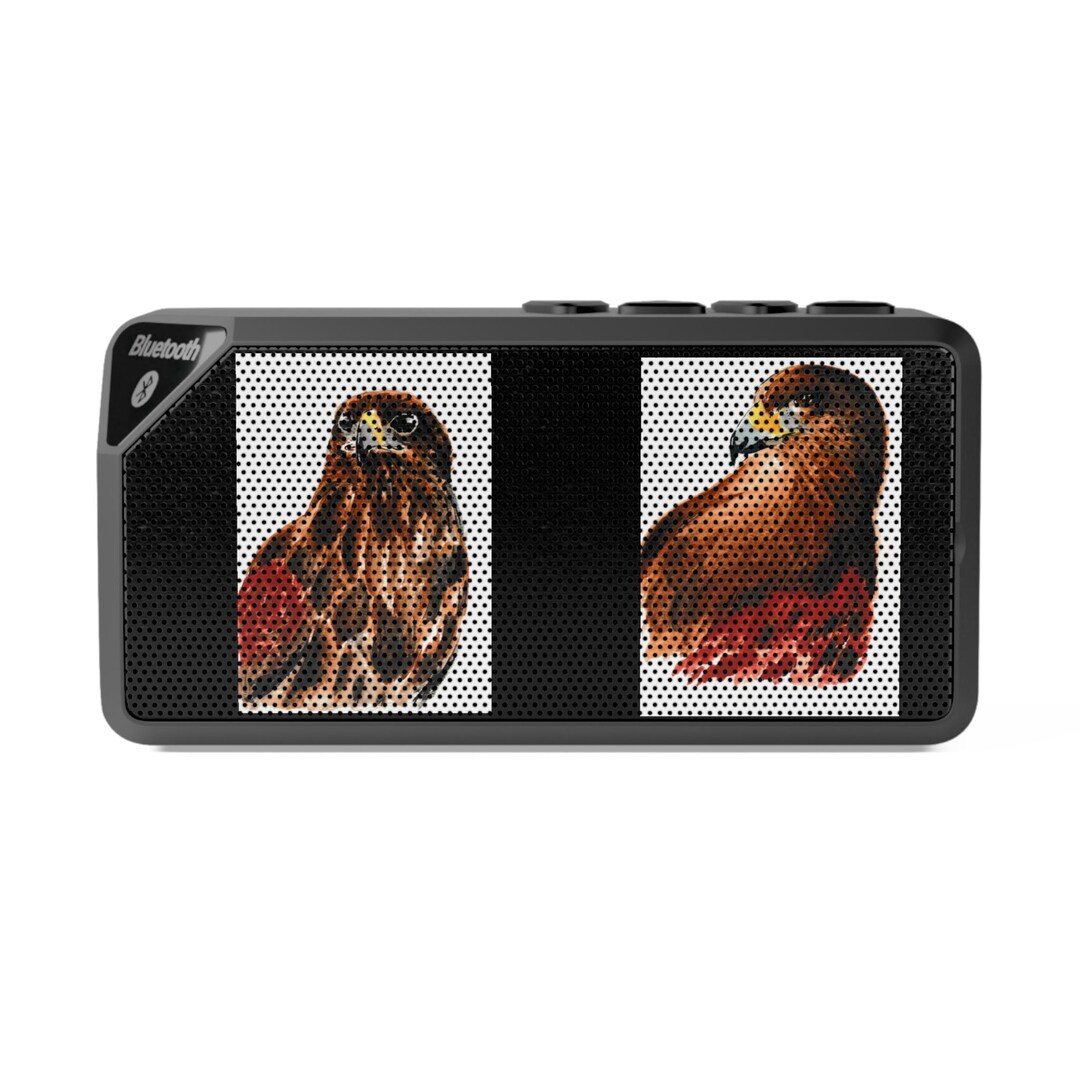 Bluetooth Speaker, Harris Hawk Brothers Romulus and Remus Print ...