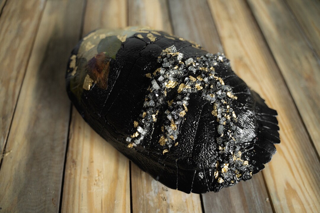 Turtle Shell With Crystals - Etsy