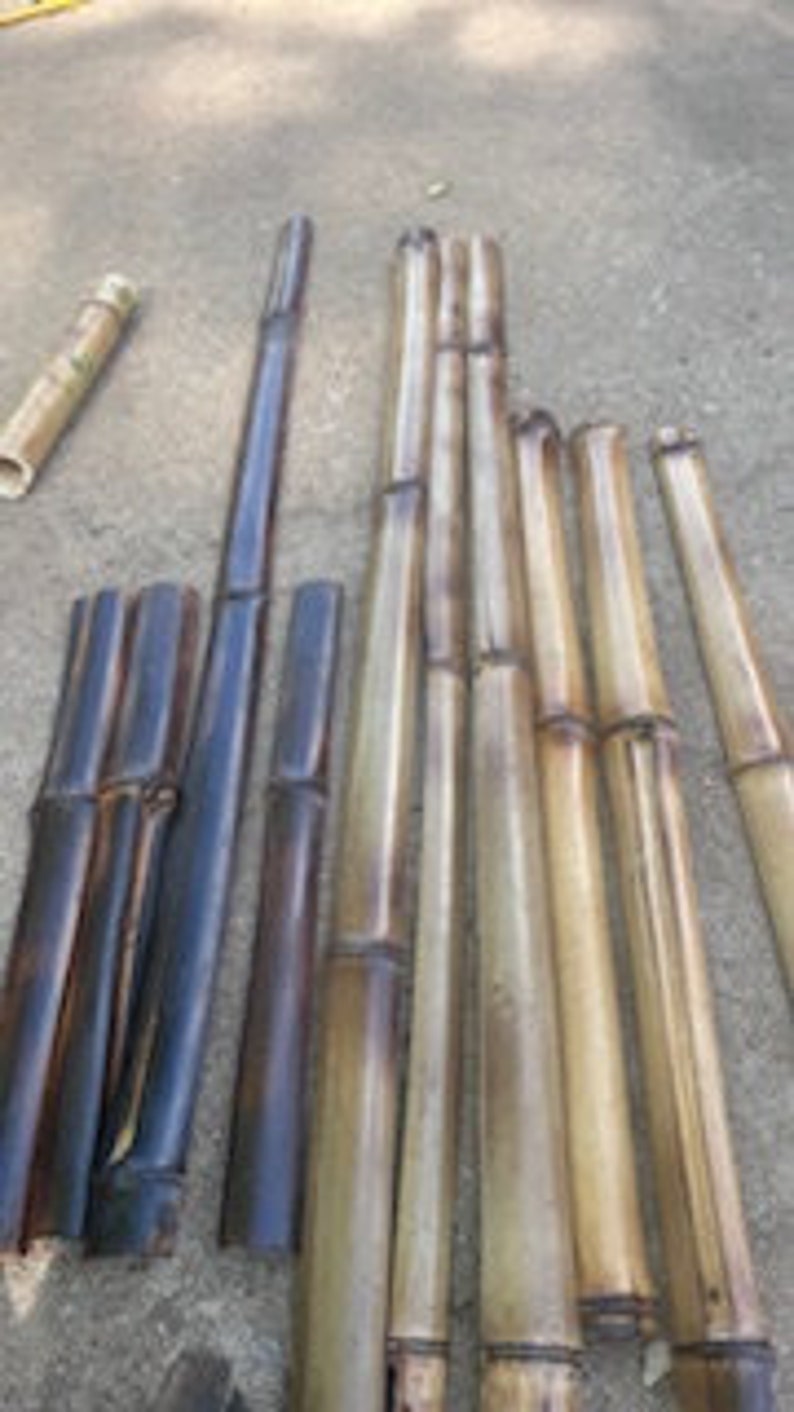 Bamboo Pole Wall Slats for Home Decor and Accent Wall 11.5 by Your ...