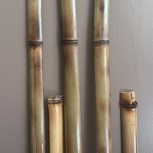 Bamboo Pole Wall Slats for Home Decor and Accent Wall 11.5 by Your ...