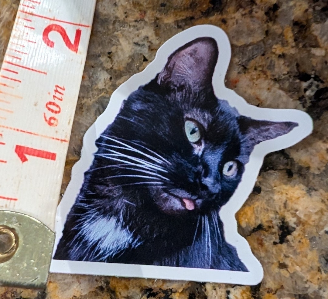Die-cut Vinyl Cat Sticker. Bonzo, Our Silly Cat, Sticking His Tongue ...