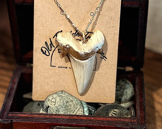 Otodus Shark Tooth, Authentic, Shark Teeth Lovers, 18” Gold Plated Bar ...