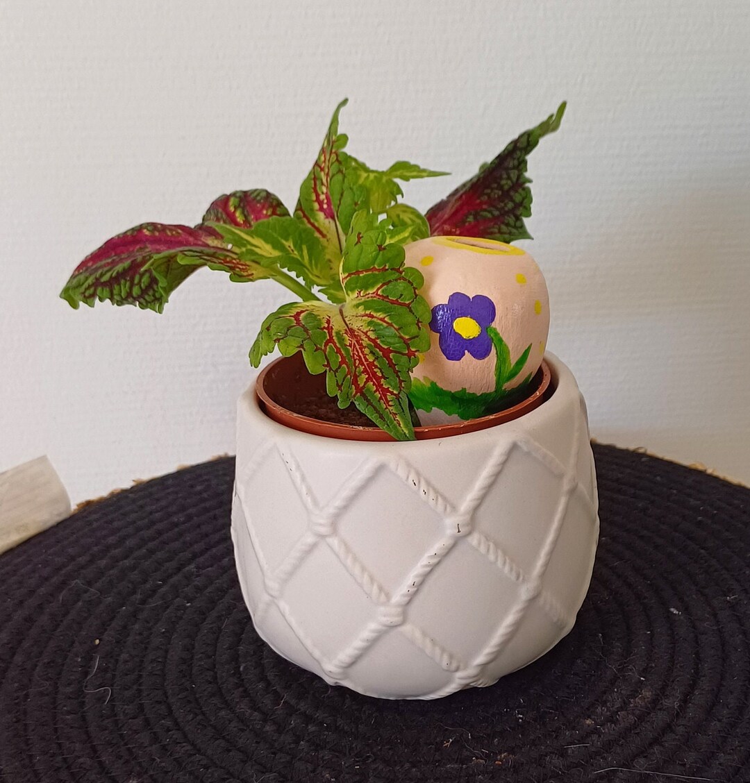 Ceramic Oya / Olla - Etsy