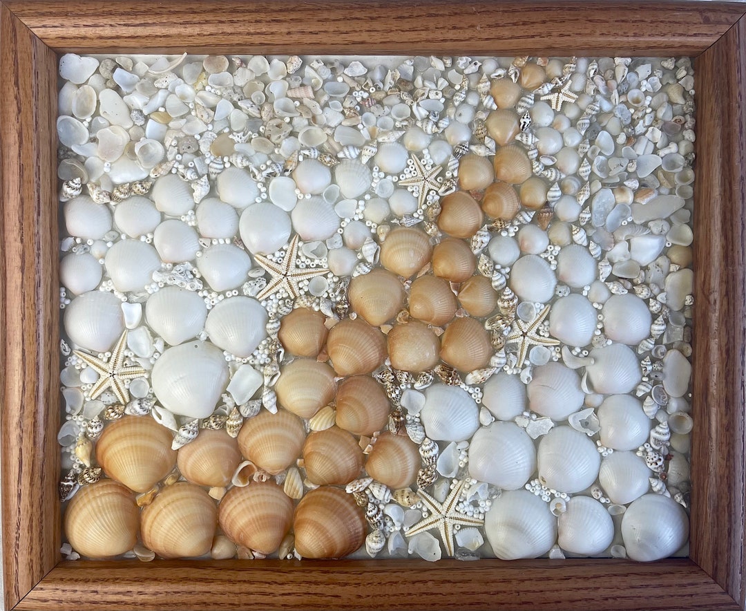 Seashell Art Collage Textured Path - Etsy
