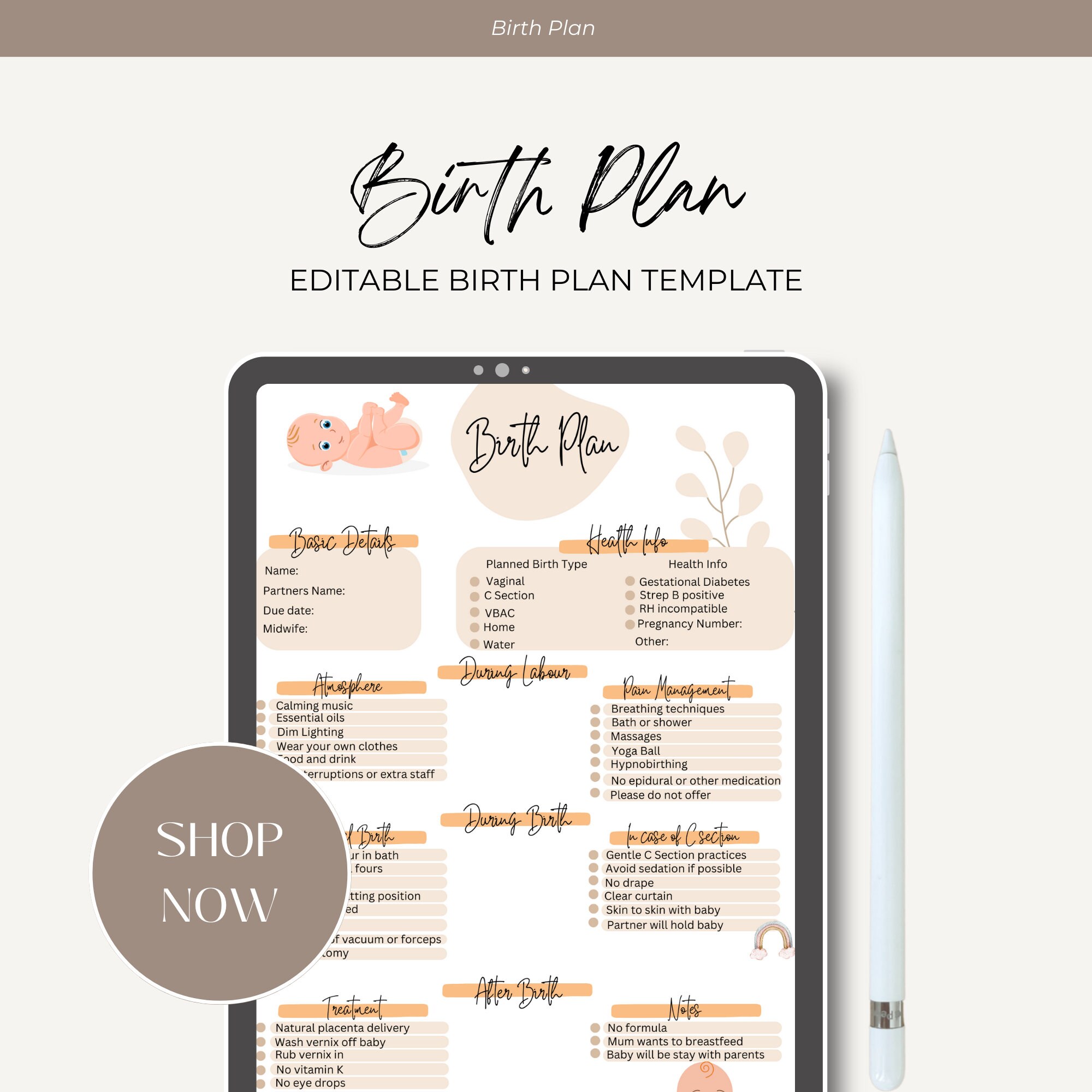 Birth Plan One Page Birth Plan Goodnotes Editable Canva - Etsy