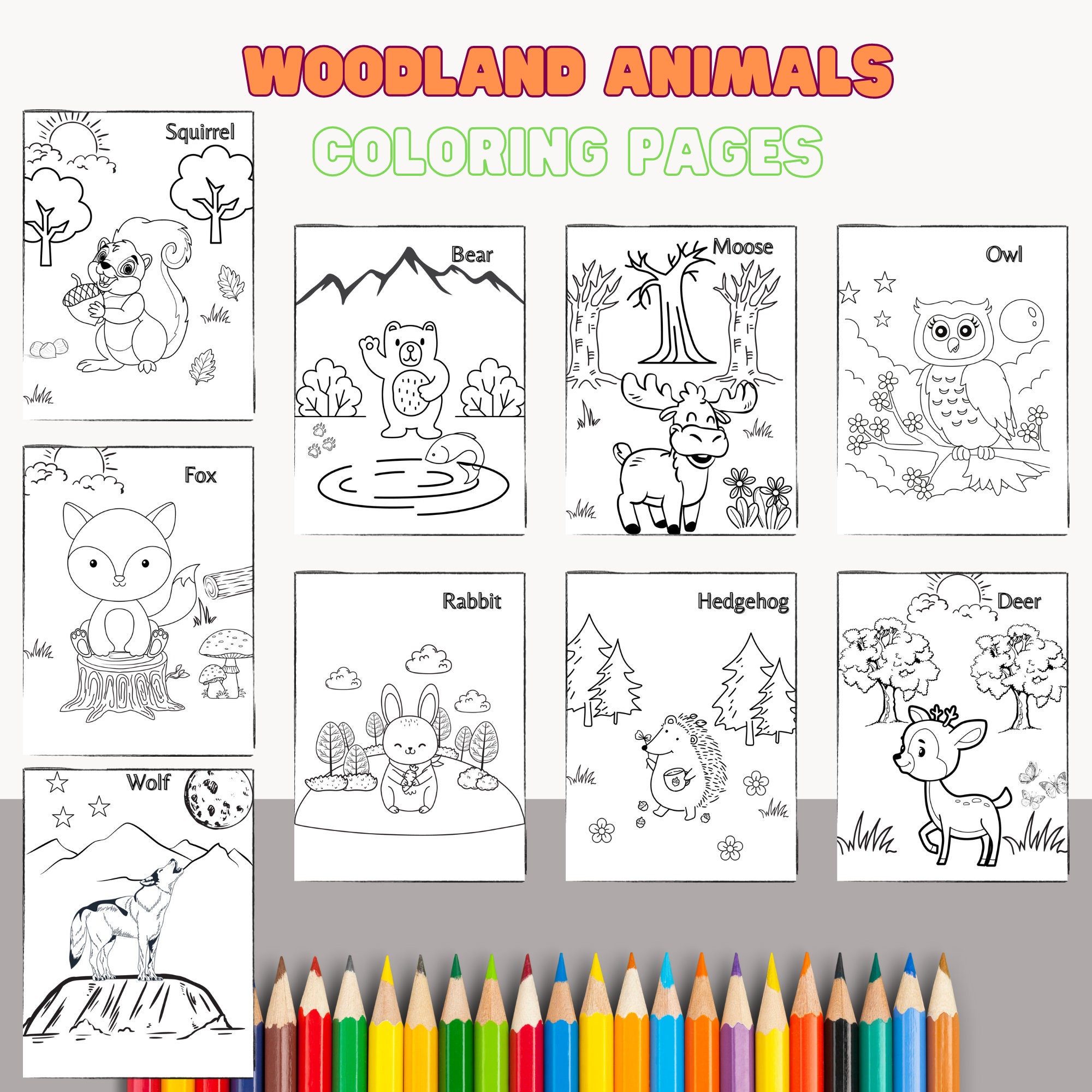 Woodland Animals Coloring Pages Coloring Pages for Kids - Etsy