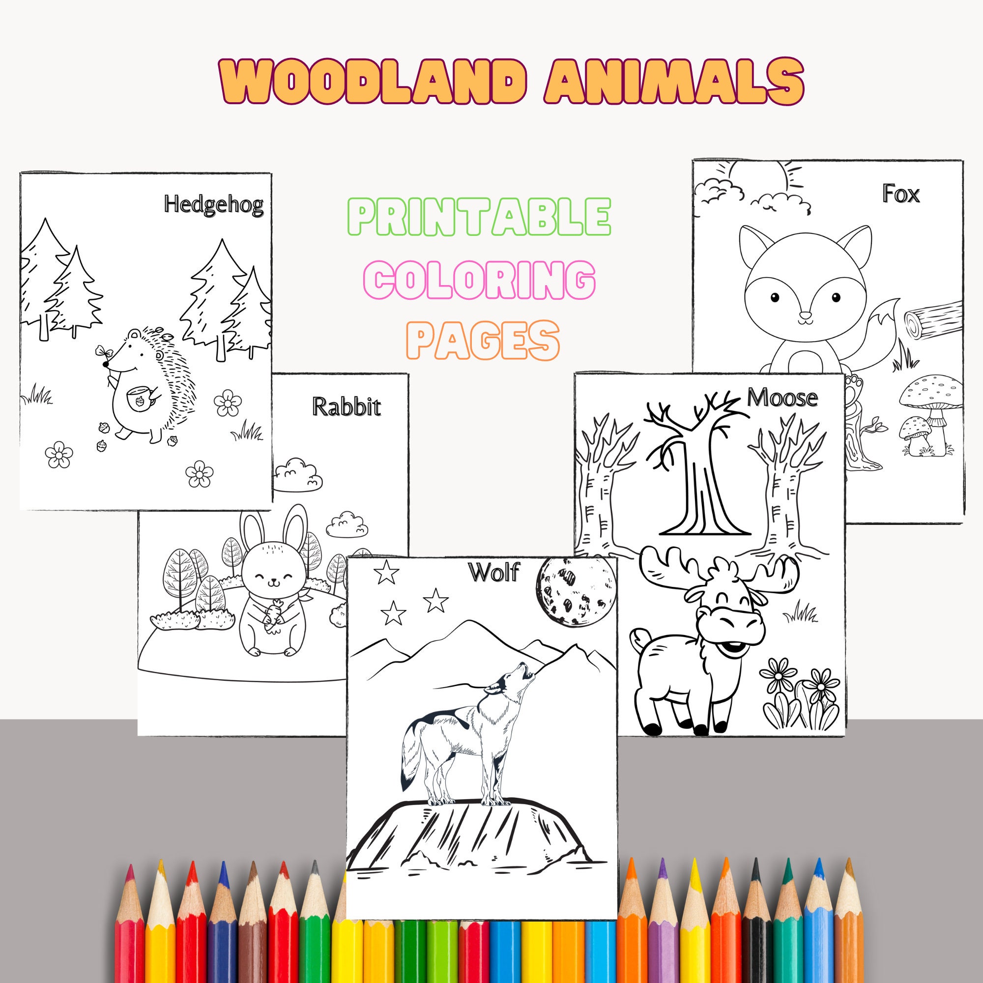 Woodland Animals Coloring Pages Coloring Pages for Kids - Etsy