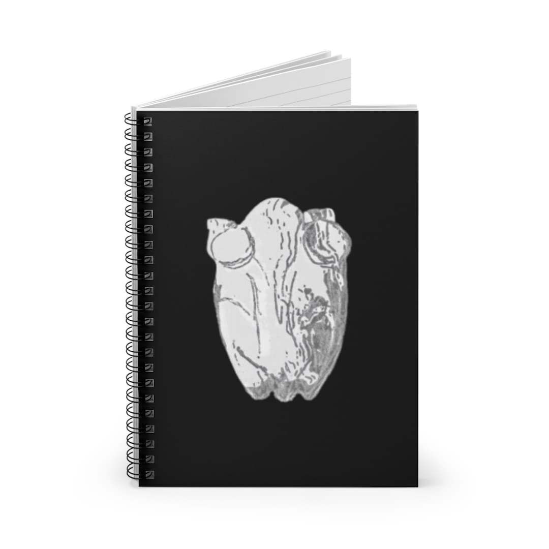 White Frog Black Spiral Notebook, Ruled Line, Animals, Amphibians ...