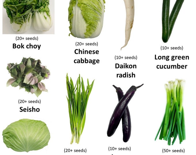 9 Variety Asian Vegetable Seeds 180+ Seeds - Etsy