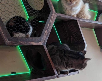 Custom Made Cat Cots Hexagon Floating Shelves With Lights Cat Beds Play ...