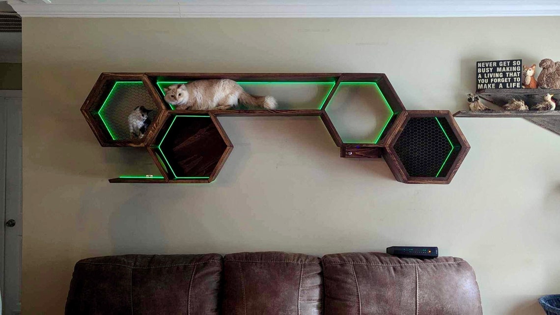Custom Made Cat Cots Hexagon Floating Shelves With Lights Cat Beds Play ...