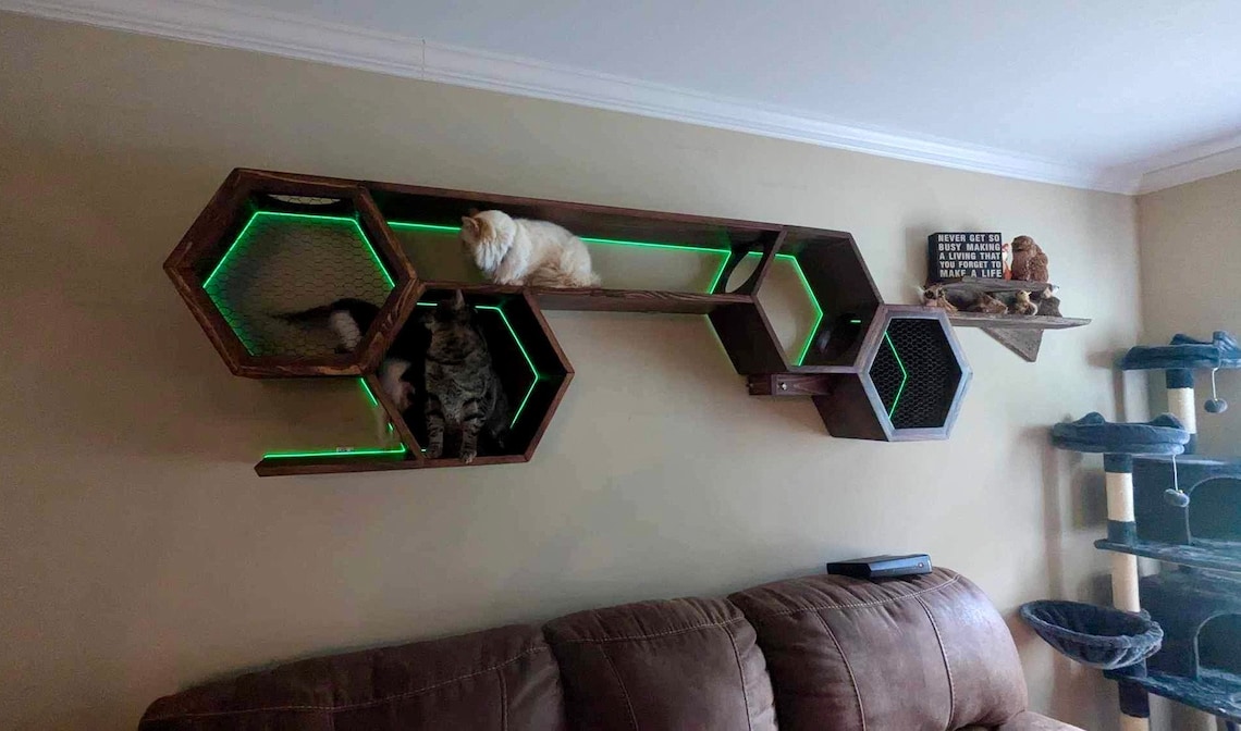 Custom Made Cat Cots Hexagon Floating Shelves With Lights Cat Beds Play ...