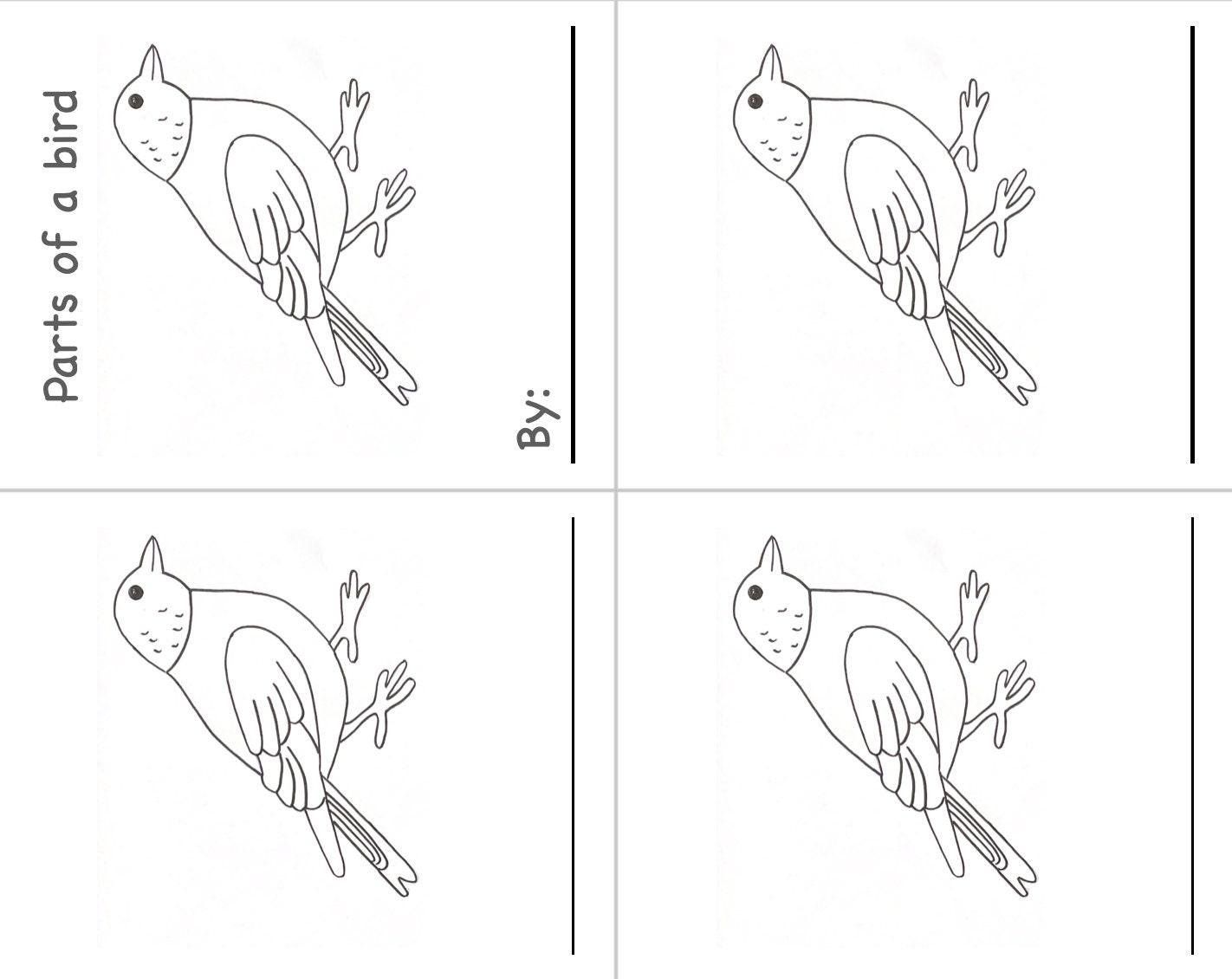 Montessori Parts of Animals + Bird Booklets - Etsy