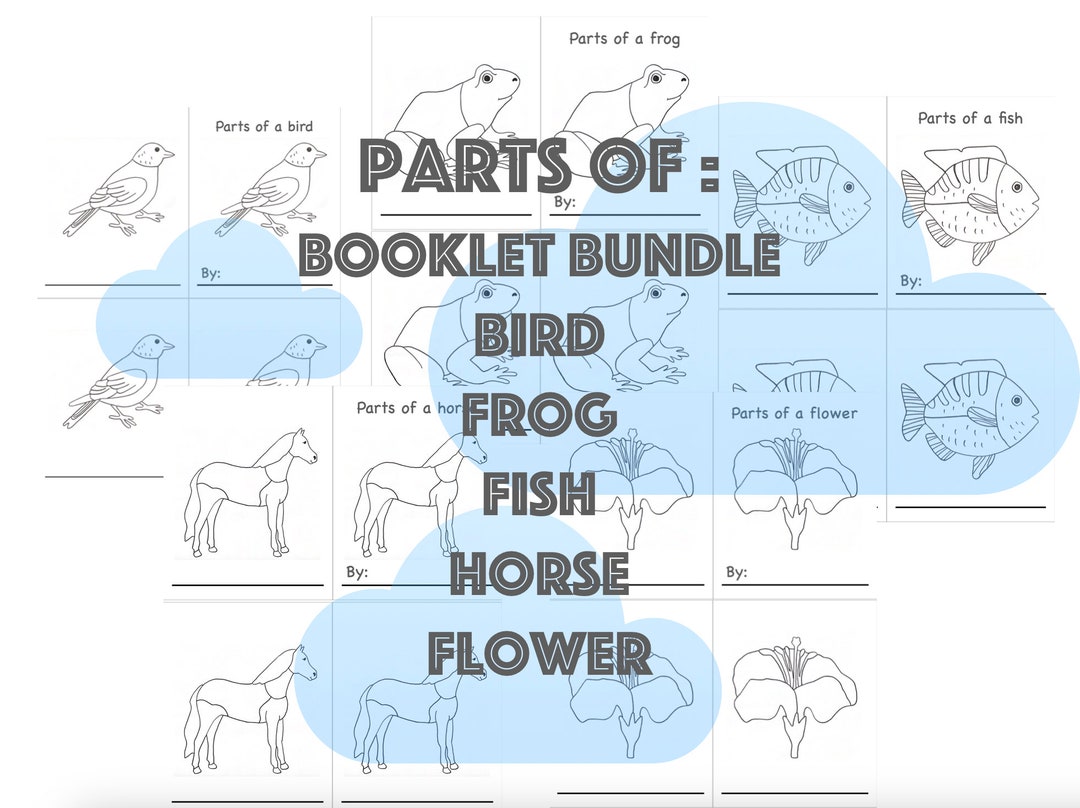Montessori Parts of Animals + Bird Booklets - Etsy