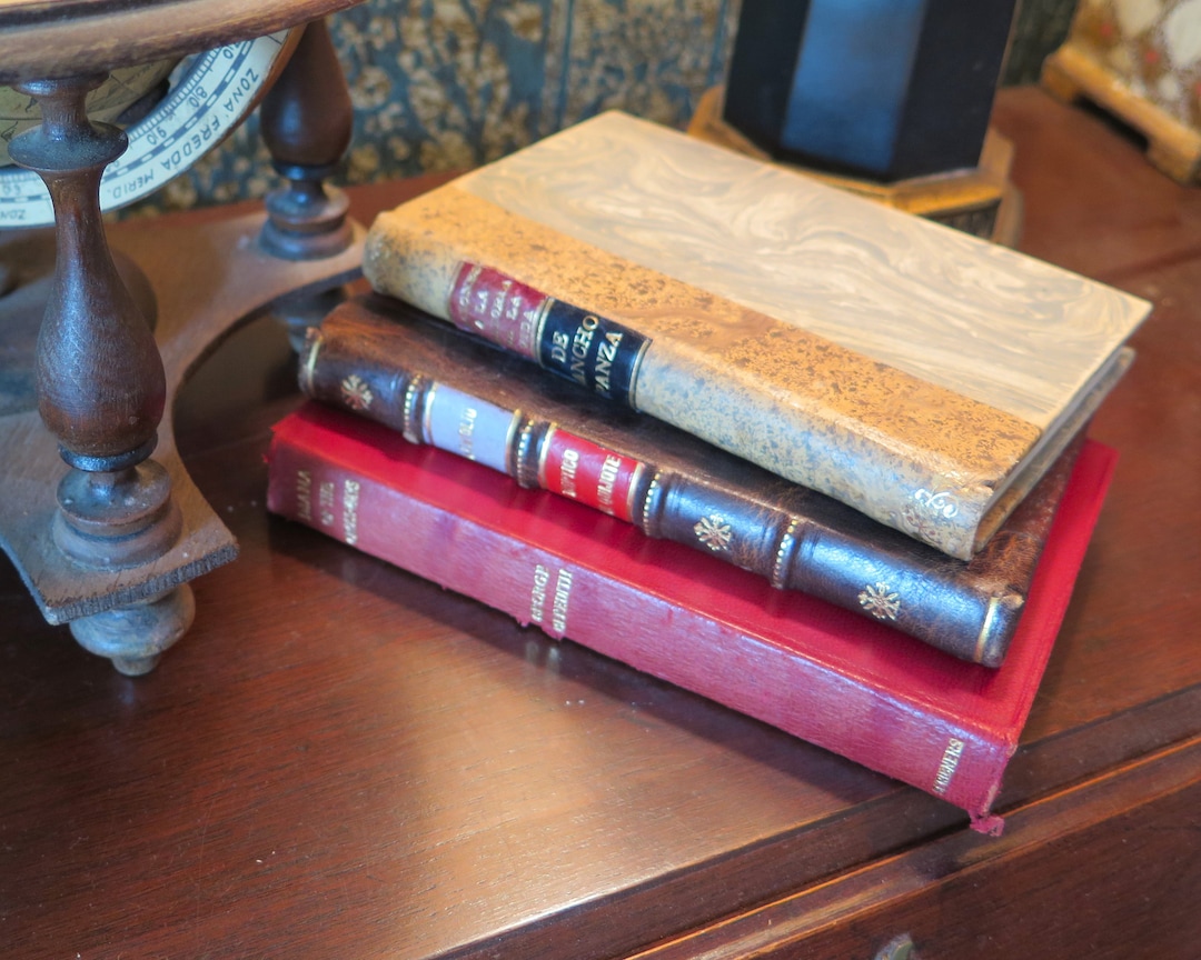 Small Leather-bound Book Stack / Dark Academia Bookshelf or Desktop ...