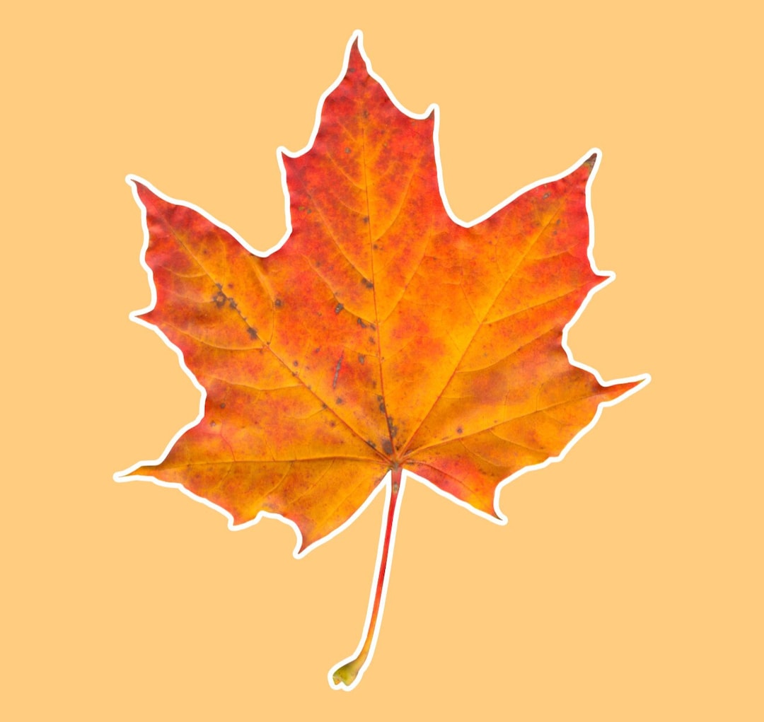 Fall Leaf Sticker Decal - Etsy