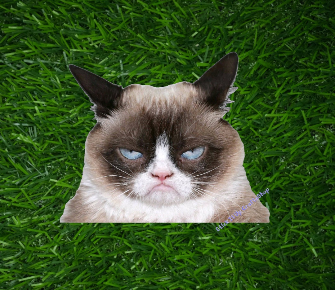 Grumpy Cat Sticker Decal - Etsy