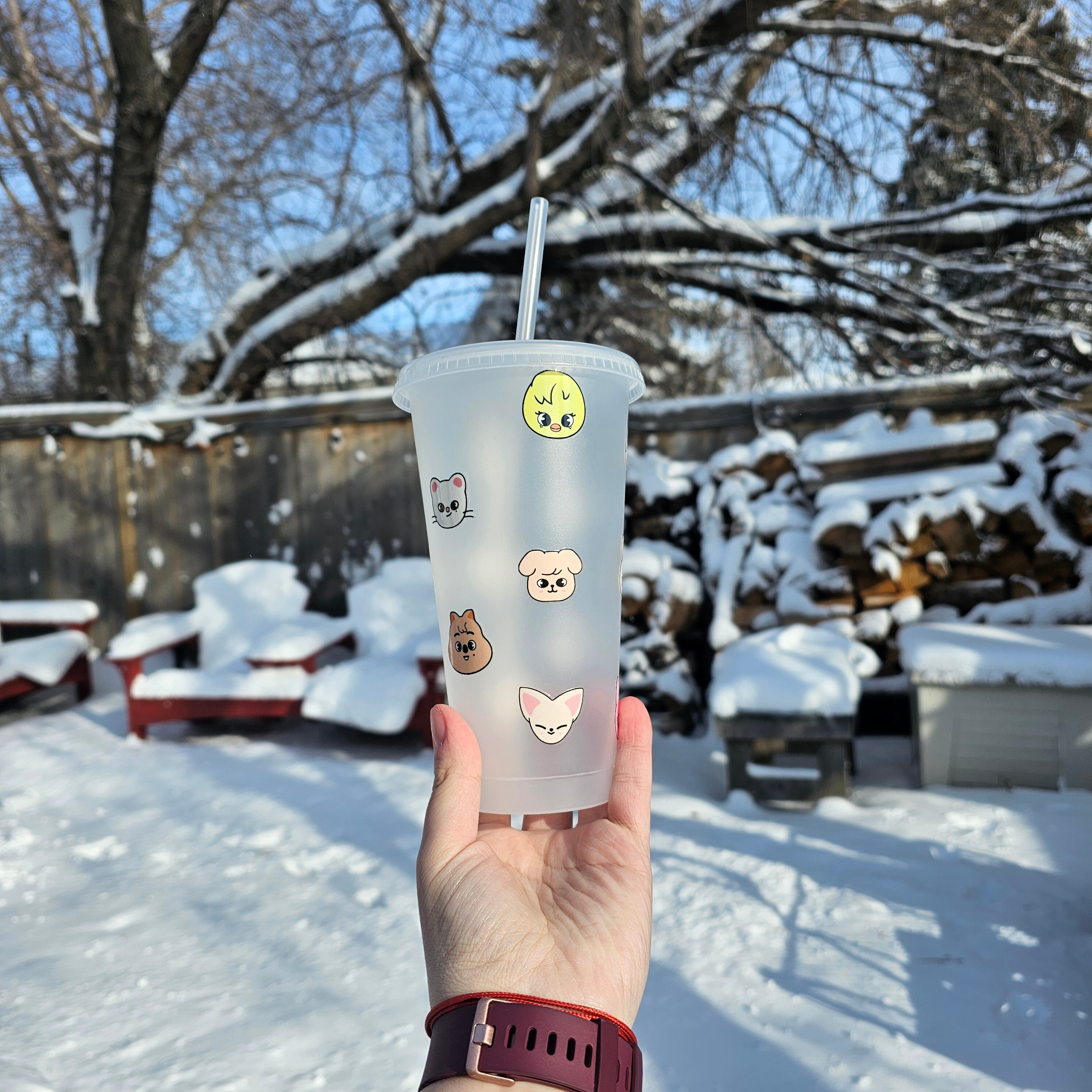 Stray Kids Skzoo / Member Name Reusable Plastic 24oz Cup With Lid and ...