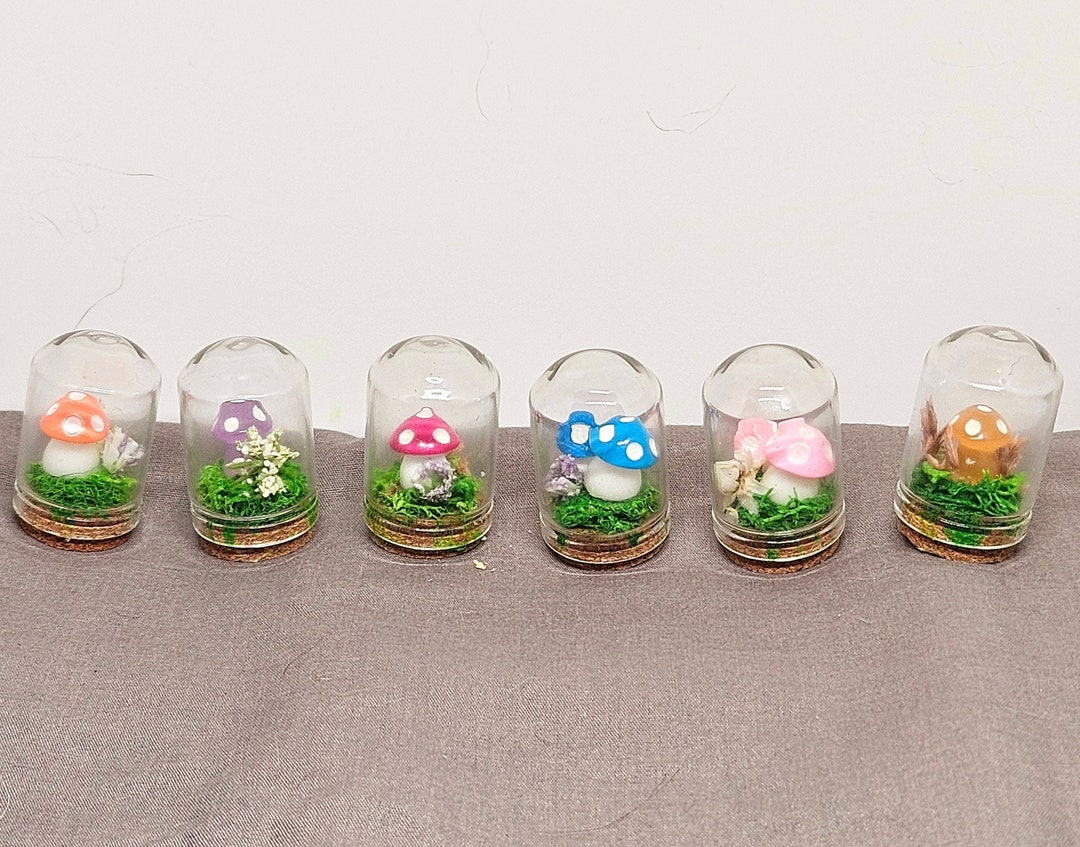 Mini Mushroom Terrarium, Artificial Mushroom Oddity in Glass Dome ...