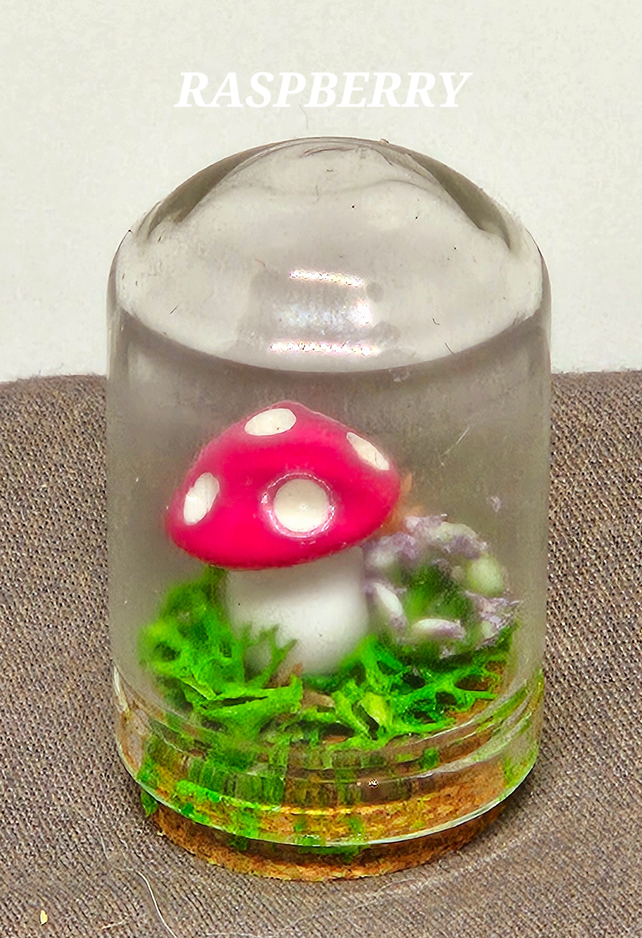 Mini Mushroom Terrarium, Artificial Mushroom Oddity in Glass Dome ...